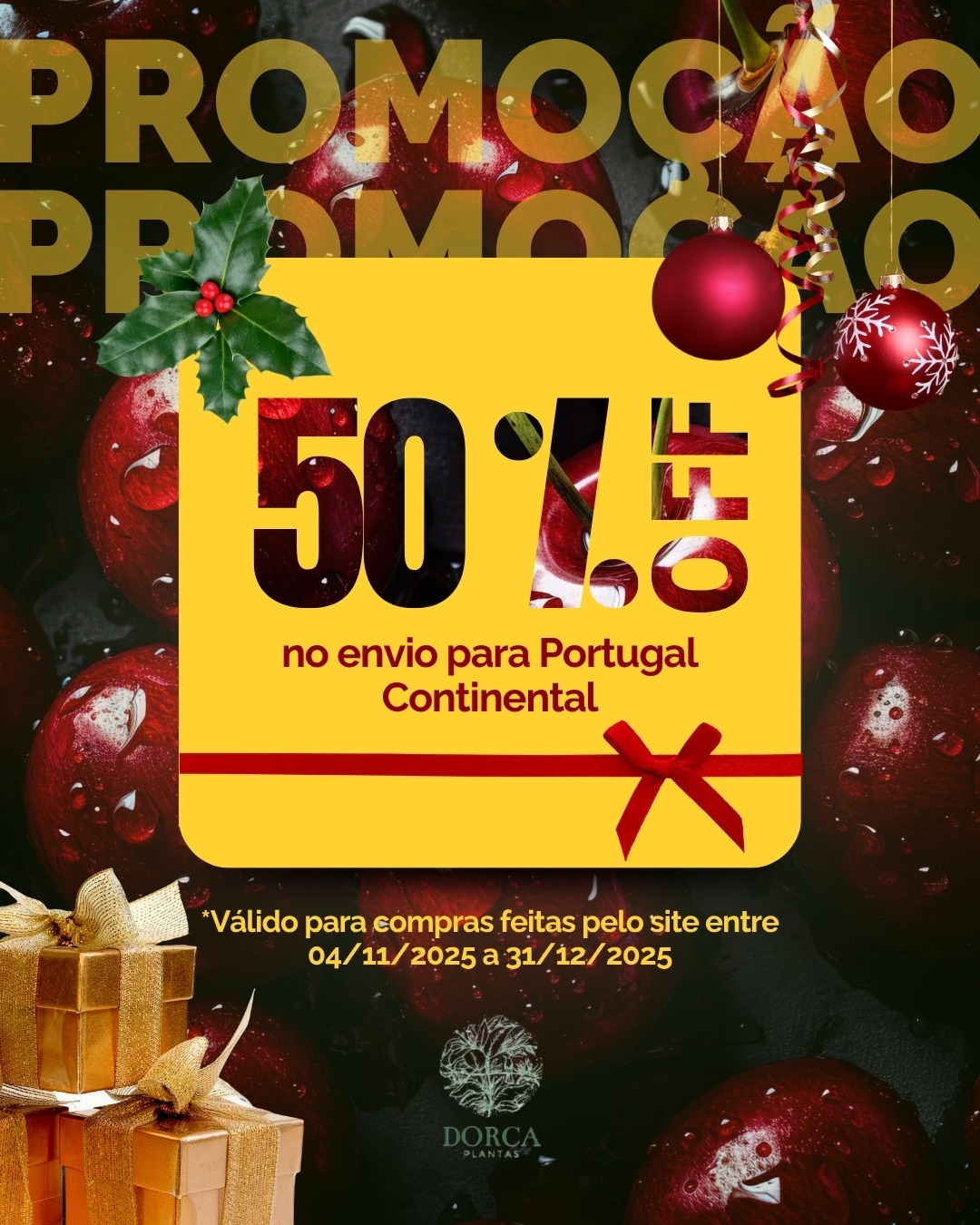 Termos e Condições - Dorca Plantas